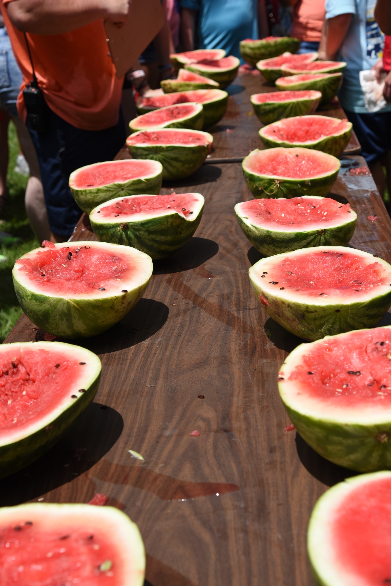 Gallery - Mississippi Watermelon Festival