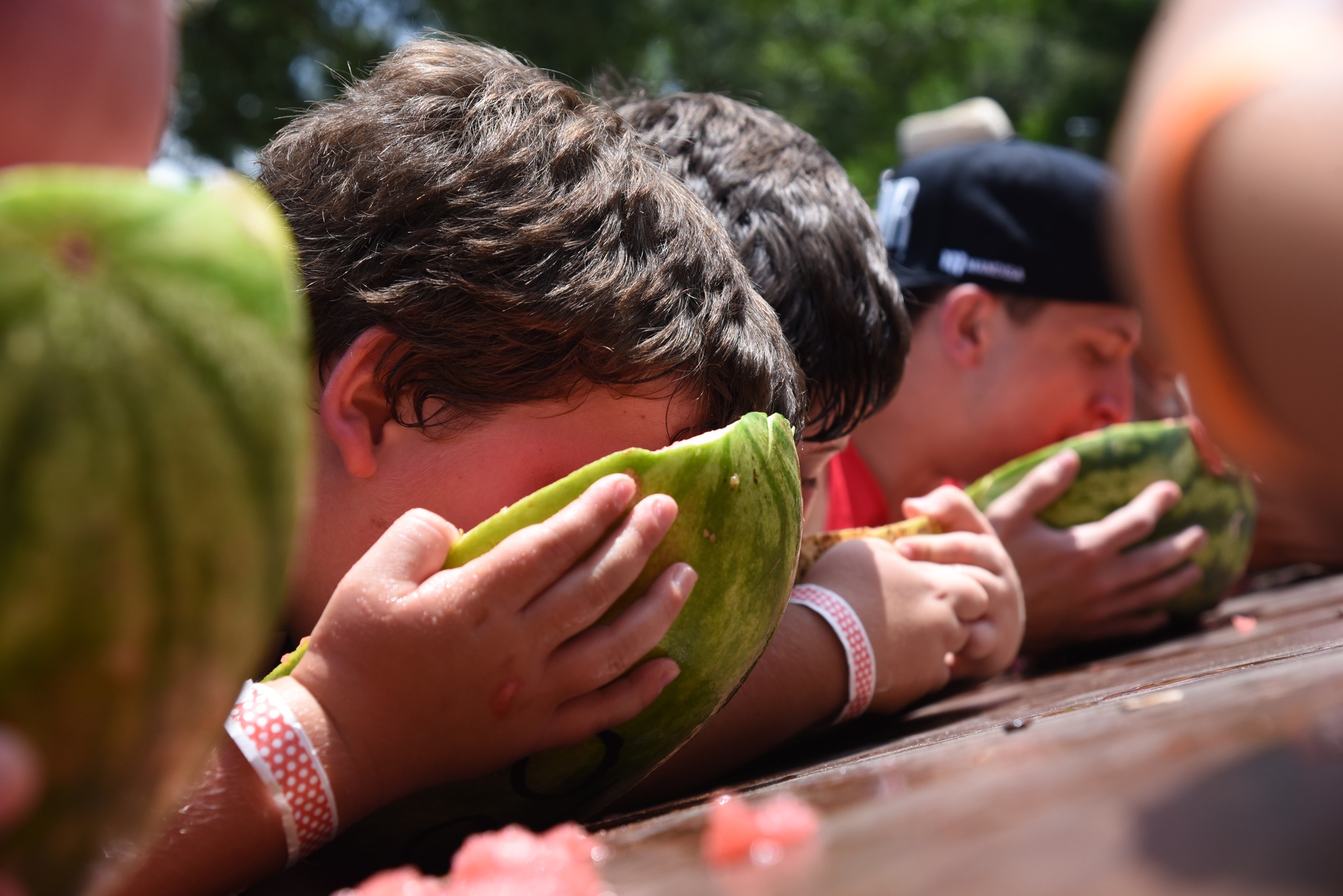 Gallery - Mississippi Watermelon Festival